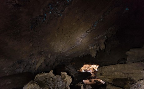 Stalactite Cave Firefly Colony Arachnocampa Luminosa Editorial Stock ...