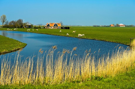 Marshland River Farmhouse Beemster Waterland Region Editorial Stock ...