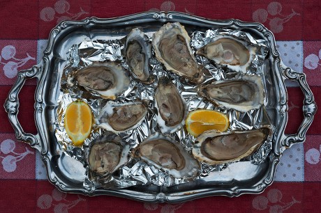 2,000 Chilled food Stock Pictures, Editorial Images and Stock Photos ...