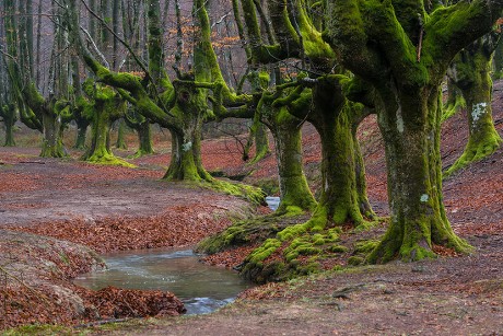 250 Bizkaia province Stock Pictures, Editorial Images and Stock Photos ...