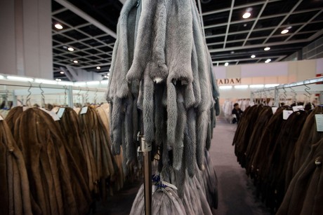 Animal Furs On Display Booth Hong Editorial Stock Photo - Stock Image ...