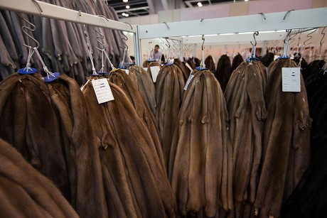 Animal Furs On Display Booth Hong Editorial Stock Photo - Stock Image ...