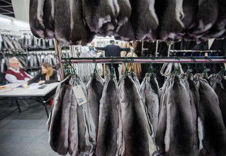 34 Fur trader Stock Pictures, Editorial Images and Stock Photos ...