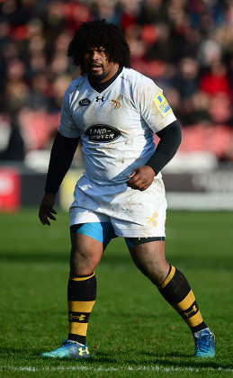 Ashley Johnson Wasps Editorial Stock Photo - Stock Image | Shutterstock