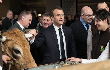 Emmanuel Macron Cow Haut Editorial Stock Photo - Stock Image | Shutterstock