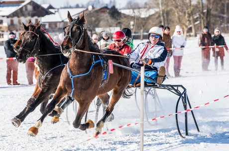 Participant Seen During Traditional Sleigh Race Editorial Stock Photo ...