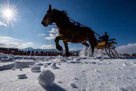 Participant Seen During Traditional Sleigh Race Editorial Stock Photo ...