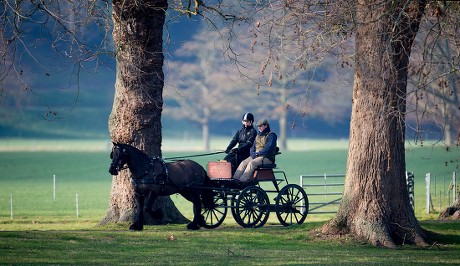 lady louise windsor carriage driving castle 库存照片（独家）| Shutterstock