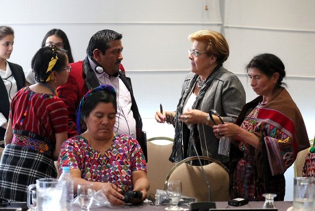 Commissioner Interamerican Commission On Human Rights Editorial Stock ...