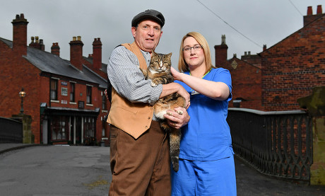 Snitch Cat Weekendersnitch Cat Who Went Editorial Stock Photo - Stock ...