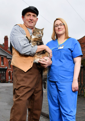 Snitch Cat Weekendersnitch Cat Who Went Editorial Stock Photo - Stock ...
