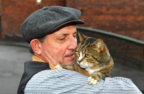 Snitch Cat Weekendersnitch Cat Who Went Editorial Stock Photo - Stock ...