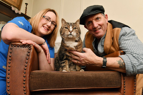 Snitch Cat Weekendersnitch Cat Who Went Editorial Stock Photo - Stock ...