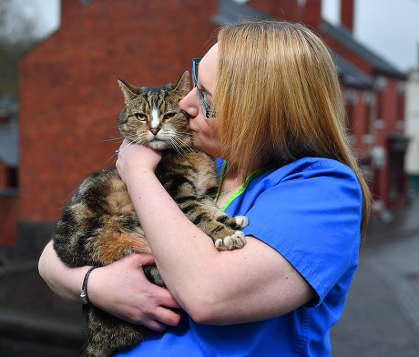 Snitch Cat Weekendersnitch Cat Who Went Editorial Stock Photo - Stock ...