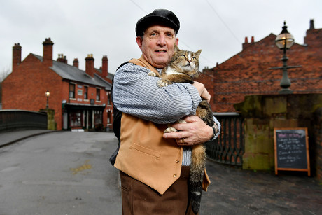 Snitch Cat Weekendersnitch Cat Who Went Editorial Stock Photo - Stock ...