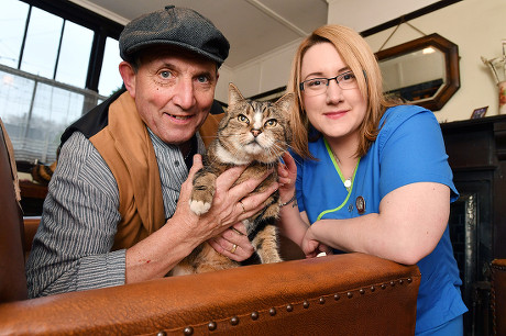 Snitch Cat Weekendersnitch Cat Who Went Editorial Stock Photo - Stock ...
