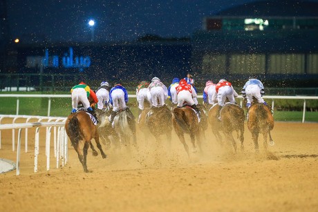 Dubai Horse Racing, Meydan Racecourse, Dubai, United Arab Emirates - 01 ...