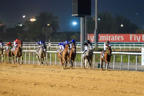 Dubai Horse Racing, Meydan Racecourse, Dubai, United Arab Emirates - 01 ...
