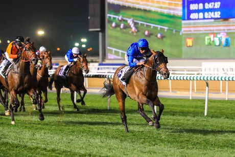 Dubai Horse Racing, Meydan Racecourse, Dubai, United Arab Emirates - 01 ...