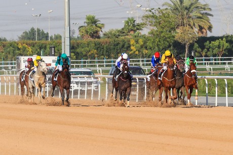 __COUNT__ Dubai Horse Racing, Meydan Racecourse, Dubai, United Arab ...