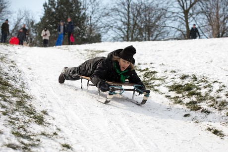 Sledger Greenwich Park Following Heavy Snowfall Editorial Stock Photo ...