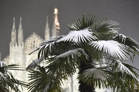 snow milan Stock Photos (Exclusive) | Shutterstock