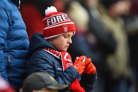Young Forest Supporter Wrapped Cold Forest Editorial Stock Photo ...