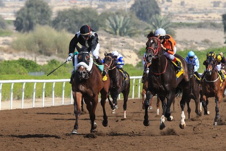 Dubai Horse Racing, Jebel Ali Racecourse, Dubai, United Arab Emirates ...