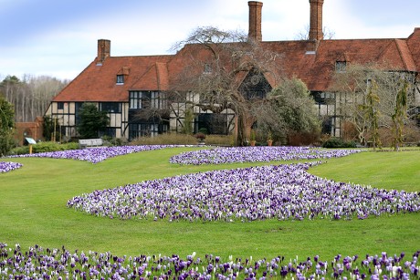 Head Gardener Peter Goodchild Tends Blanket Editorial Stock Photo ...