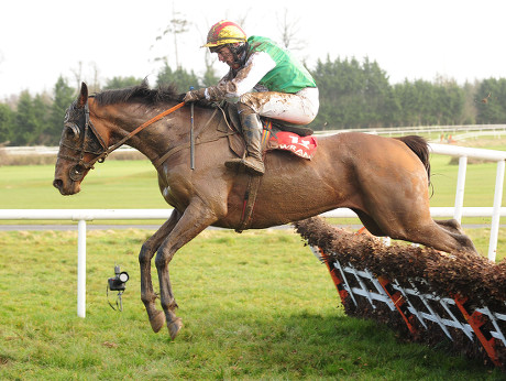 Gowran Park Fennos Storm Declan Queally Editorial Stock Photo - Stock ...