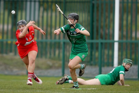 Cork V Limerick Referee Ray Kelly Editorial Stock Photo - Stock Image ...