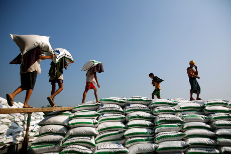Workers Load Rice Bags On Their Editorial Stock Photo - Stock Image ...