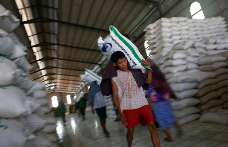 Workers Load Rice Bags On Their Editorial Stock Photo - Stock Image ...