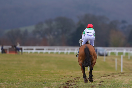 Whiskey John Ridden By Tommy Dowling Editorial Stock Photo - Stock ...