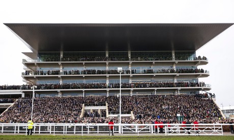 New Princess Royal Stand Cheltenham Editorial Stock Photo - Stock Image ...