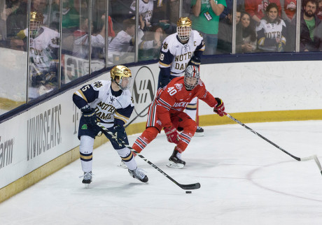 Notre Dame Defenseman Matt Hellickson 5 Editorial Stock Photo - Stock ...