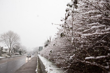 Snow Falmouth Cornwall Editorial Stock Photo - Stock Image | Shutterstock