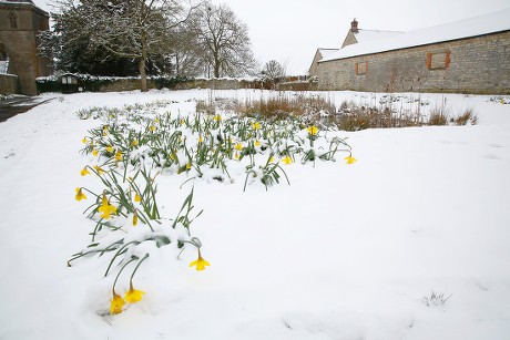 Seasonal weather, UK - 18 Mar 2018 Stock Pictures, Editorial Images and ...