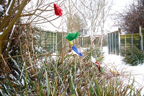 Seasonal weather, UK - 18 Mar 2018 Stock Pictures, Editorial Images and ...
