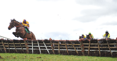 Horse Racing - 23 Mar 2018 Stock Pictures, Editorial Images and Stock ...