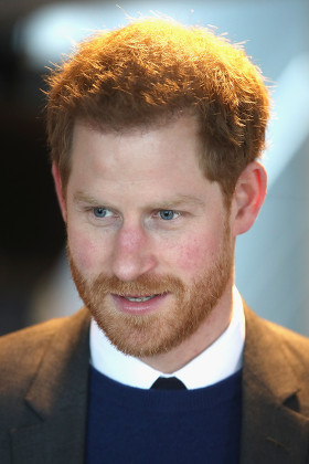 prince harry portraits Stock Photos (Exclusive) | Shutterstock