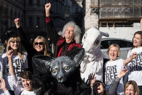 Brian May Activists Editorial Stock Photo - Stock Image | Shutterstock
