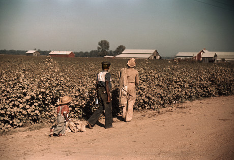 70 African american farm workers Stock Pictures, Editorial Images and ...