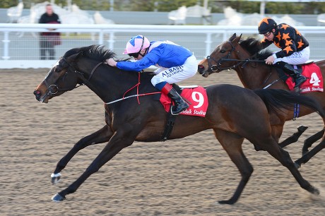 Dundalk Harvestfortheworld Chris Hayes Win Trainer Editorial Stock ...