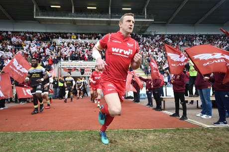 Scarlets Fans Editorial Stock Photo - Stock Image | Shutterstock