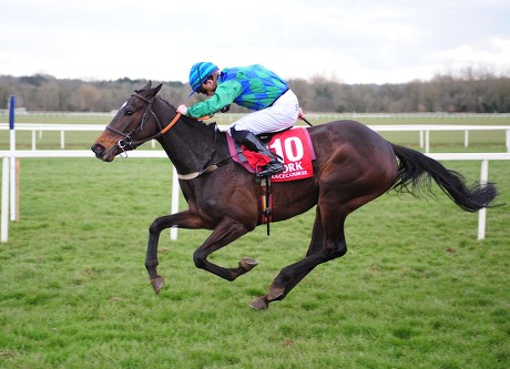 Cork Definite Doyenne Danny Sheehy Win Editorial Stock Photo - Stock ...