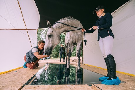 16 Horses photographed from underneath Stock Pictures, Editorial Images ...