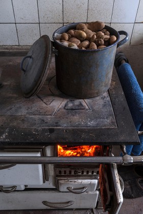 Potatoes Pot Cattle Feed On Old Editorial Stock Photo - Stock Image ...