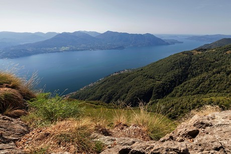 62 Cannero riviera Stock Pictures, Editorial Images and Stock Photos ...