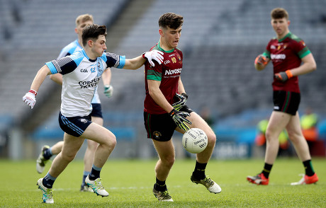 47 Luke hogan Stock Pictures, Editorial Images and Stock Photos ...